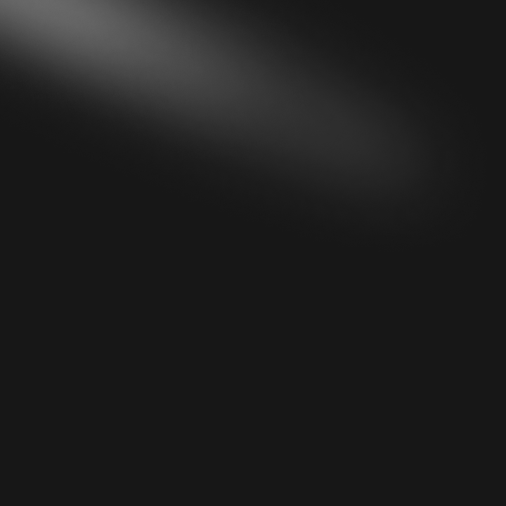 English News - The Chosun Daily